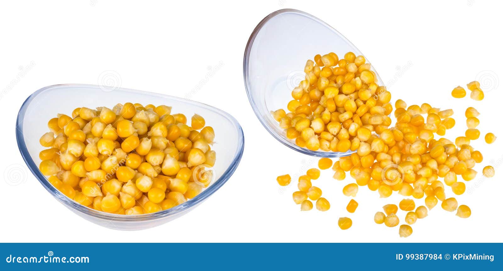 Boiled Corn Isolated on White Background Stock Photo - Image of grain ...