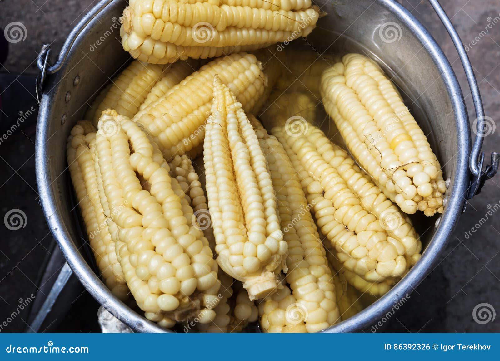 Boiled corn stock photo. Image of healthy, macro, pail - 86392326