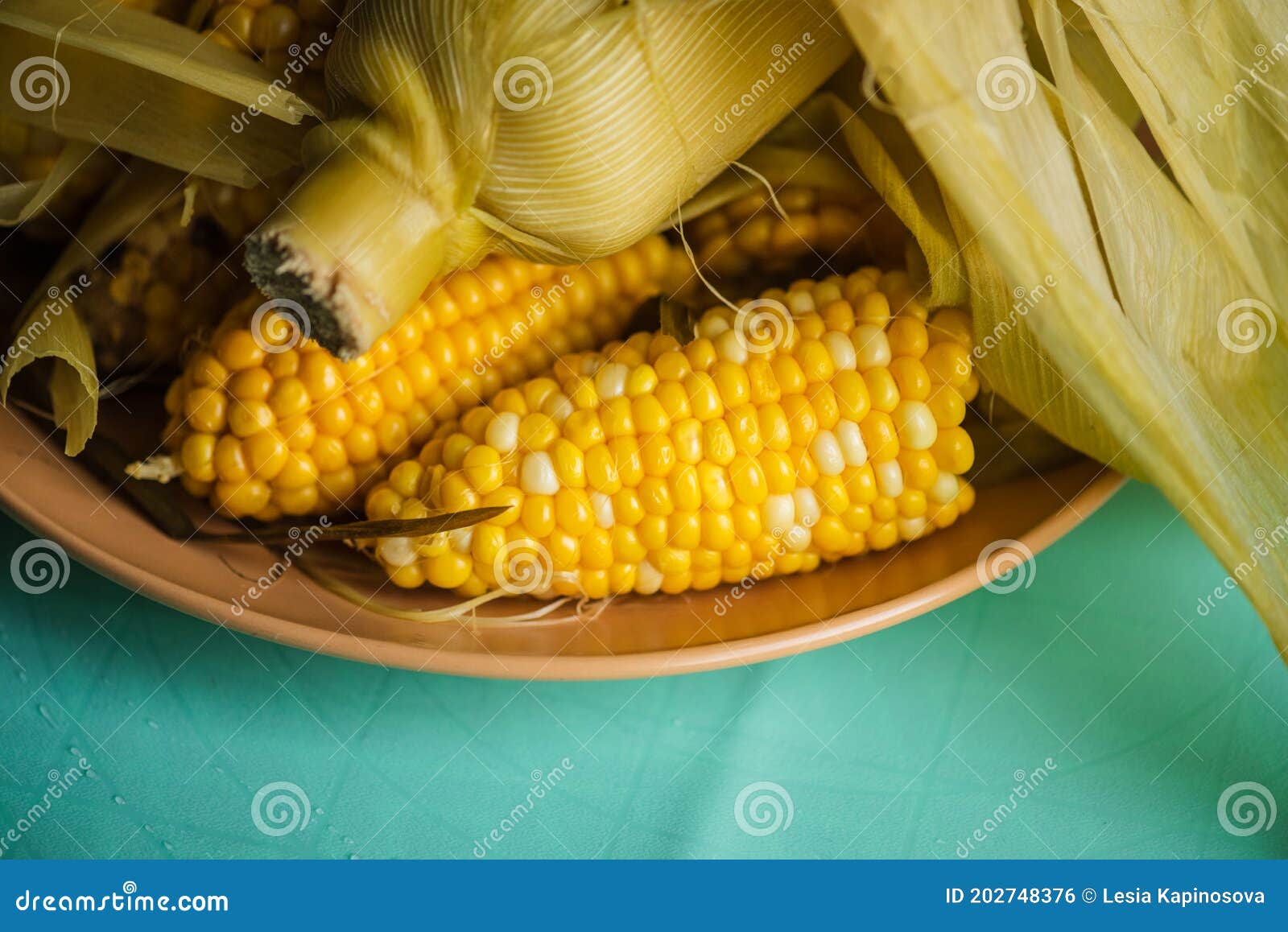 Boiled Corn - Portioned Chunks. Boiled Corn in Chunks Stock Photo ...