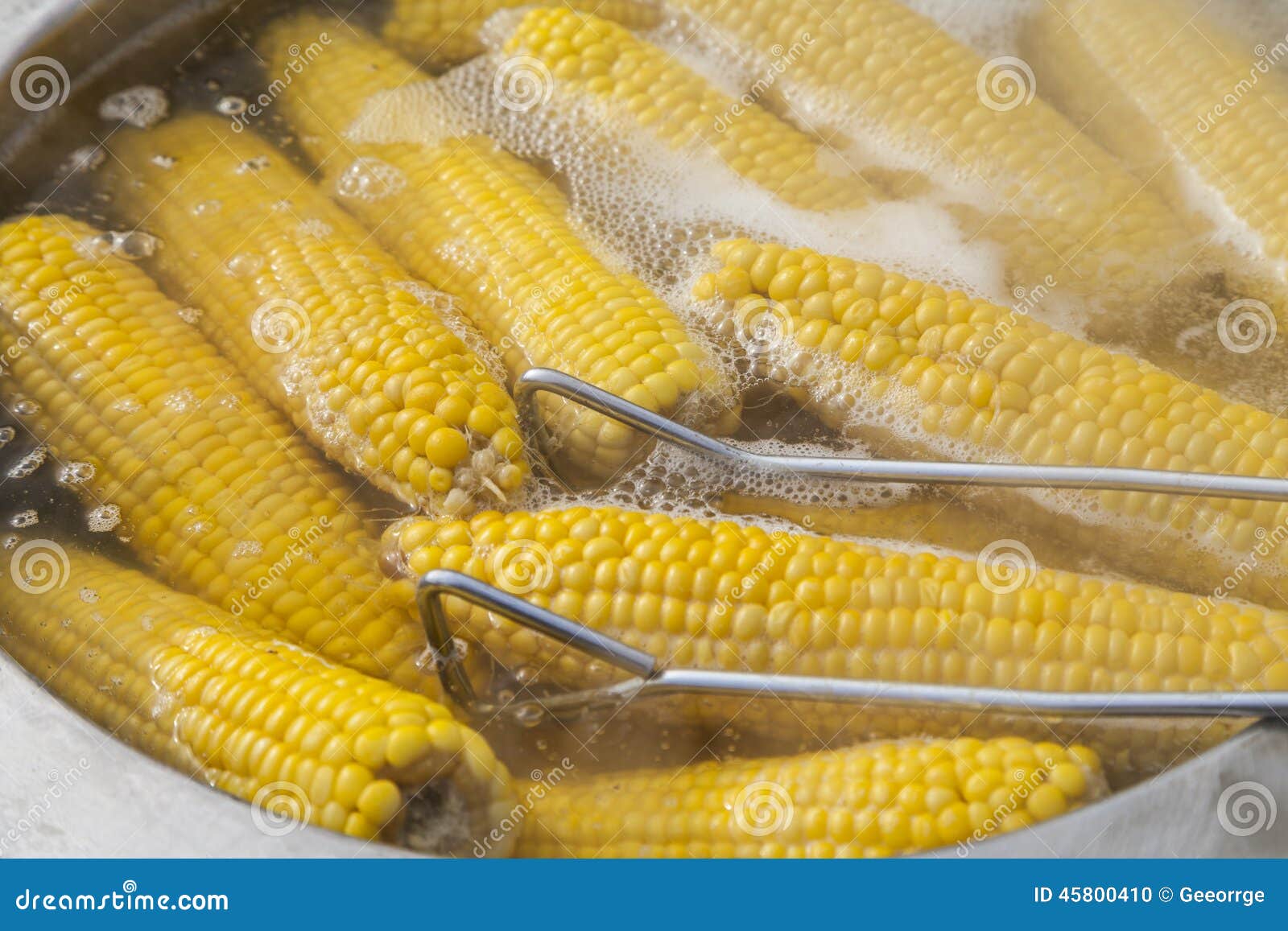 Boiled corn for sale stock photo. Image of price, fresh - 45800410