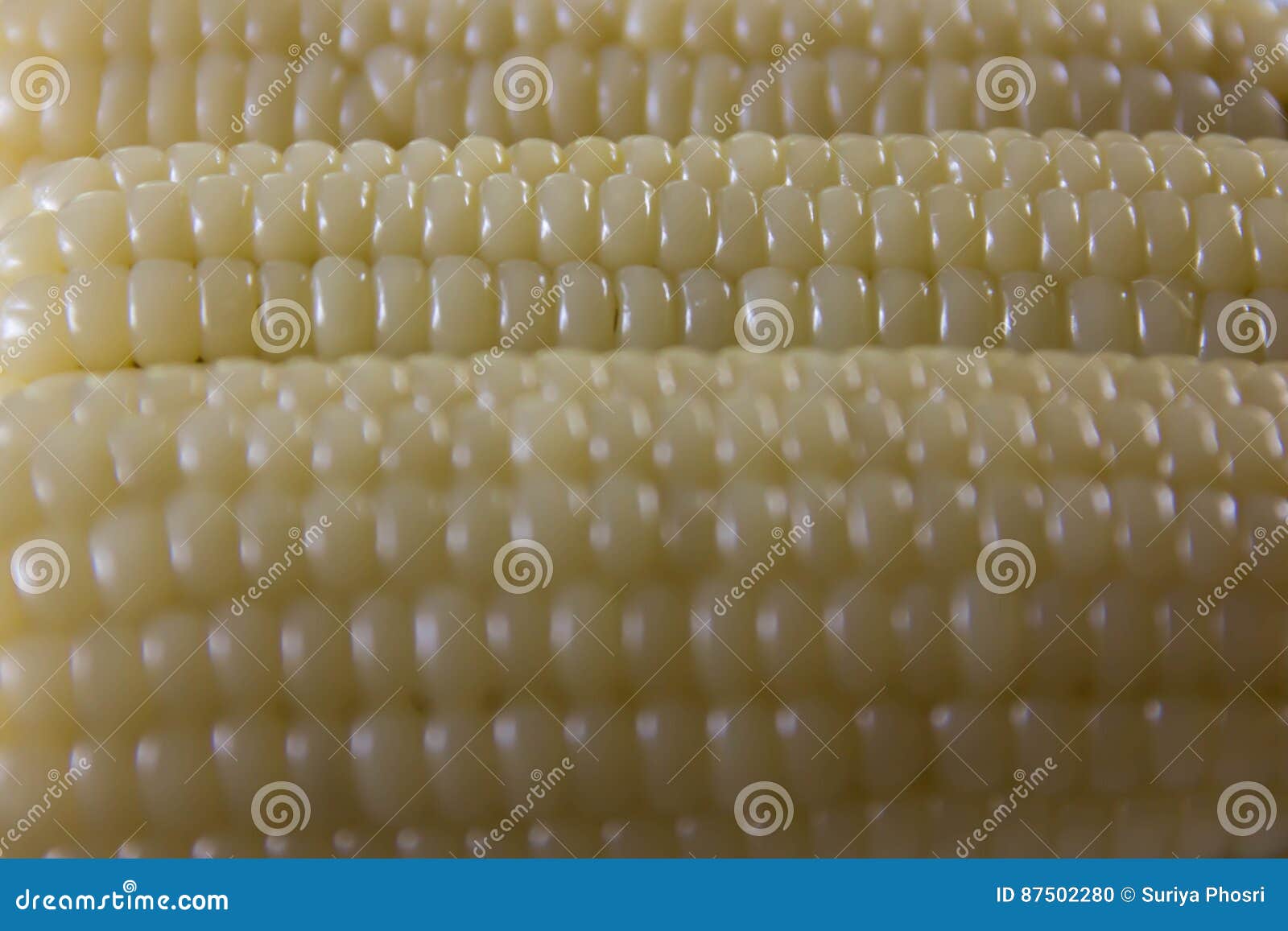 Boiled Corn, Shelled Corn Grain Texture Image Abstract Stock Photo ...