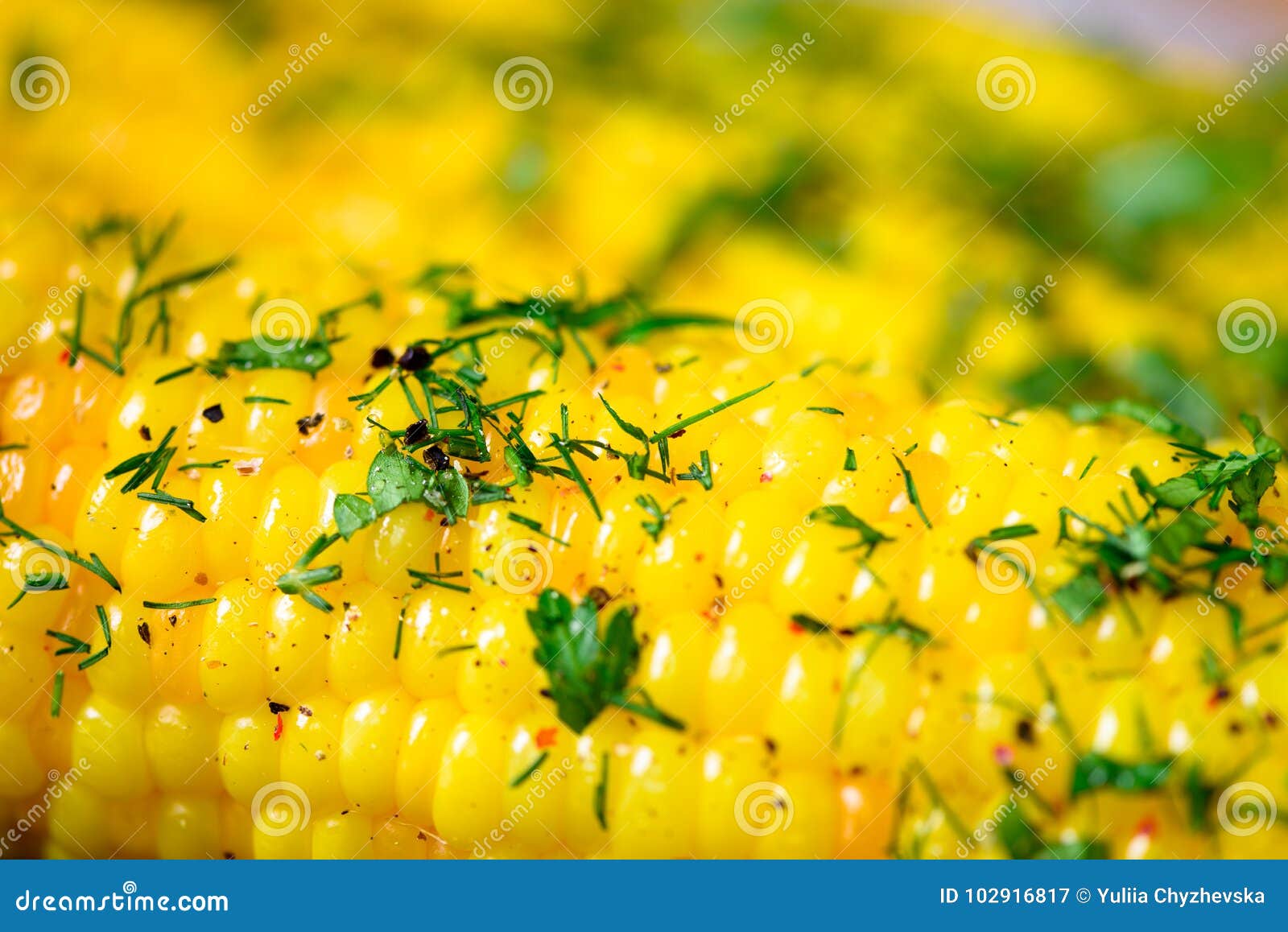 Boiled Corn with Spices on Grey Light Concrete Background. Copy Space ...