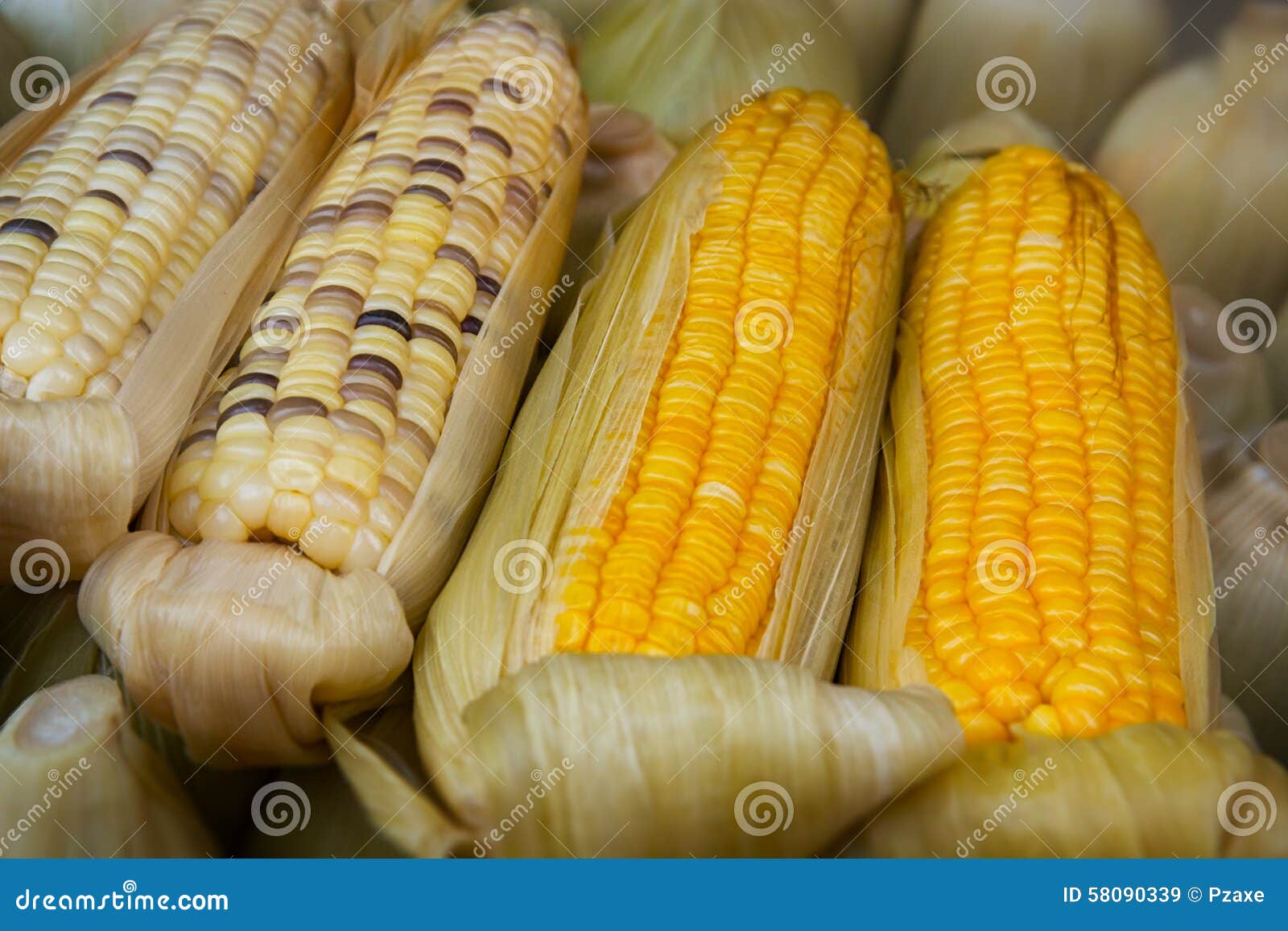 Boiled Corn at a Street Vendor S Stand Stock Image - Image of boiled ...