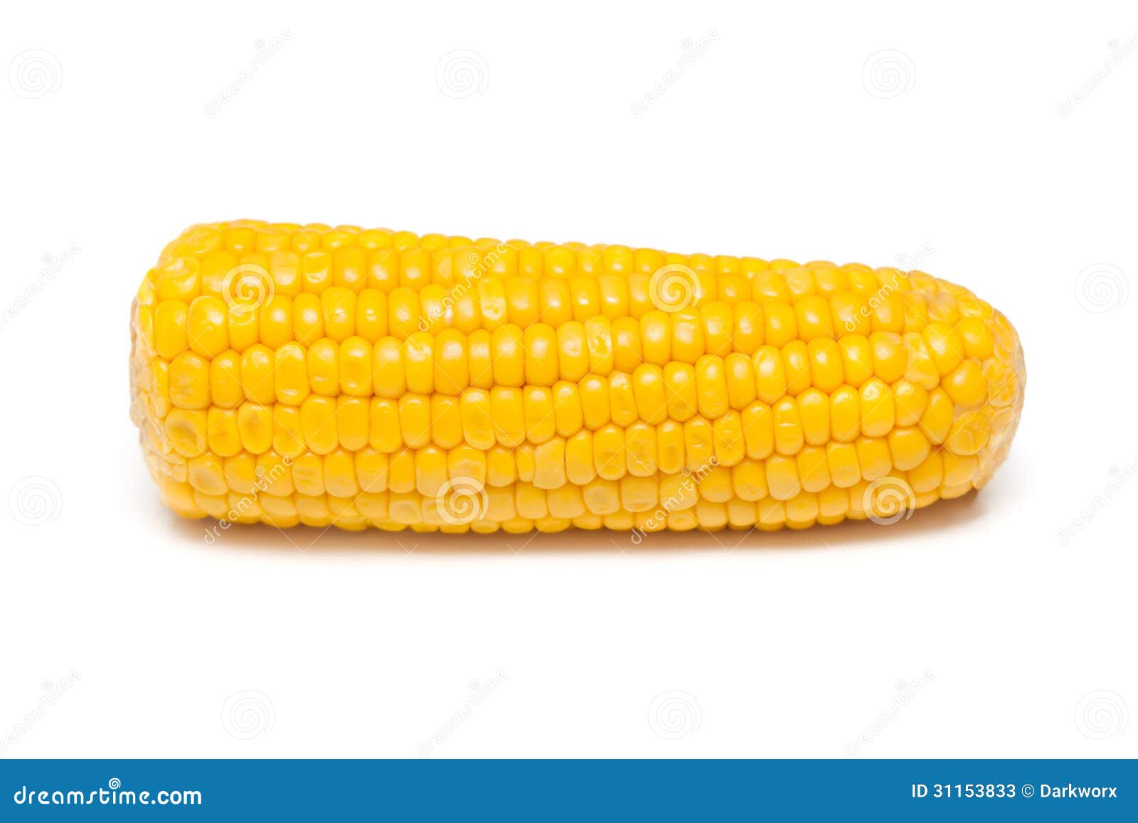 Boiled Corn. Stock Photo | CartoonDealer.com #30248904