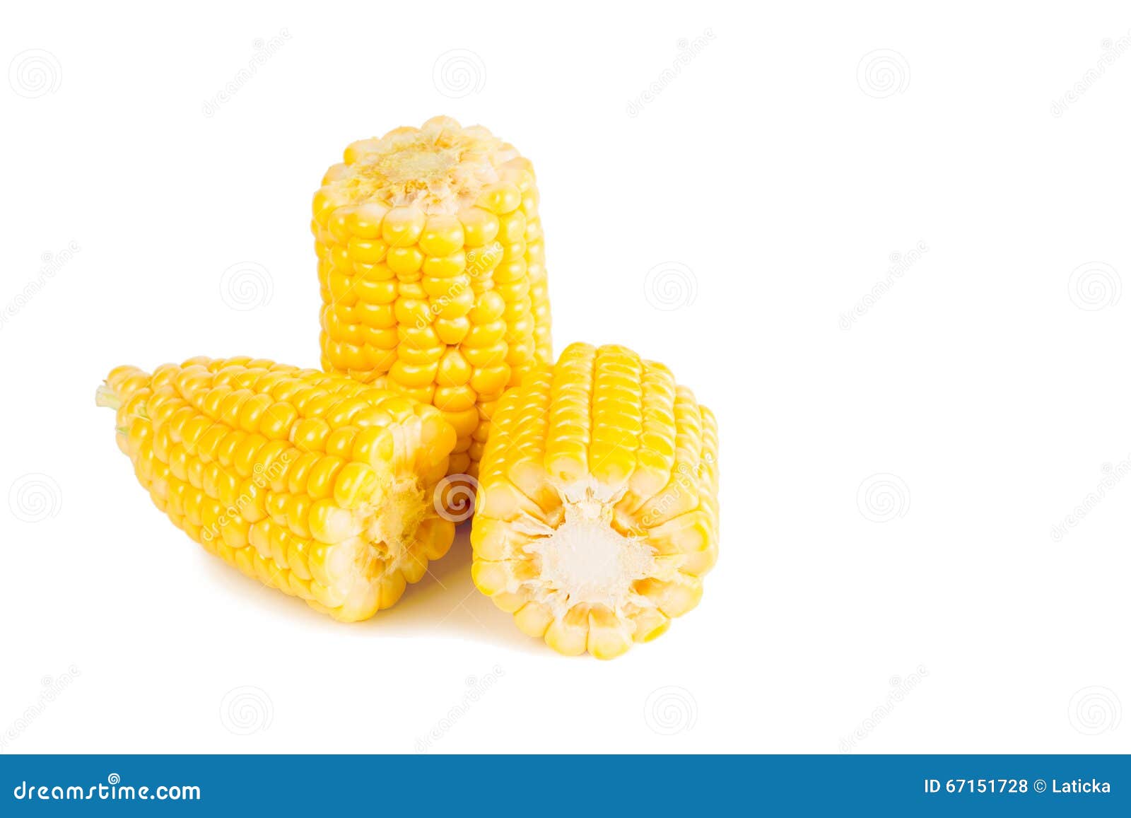 Boiled corn stock photo. Image of close, isolated, meals - 67151728