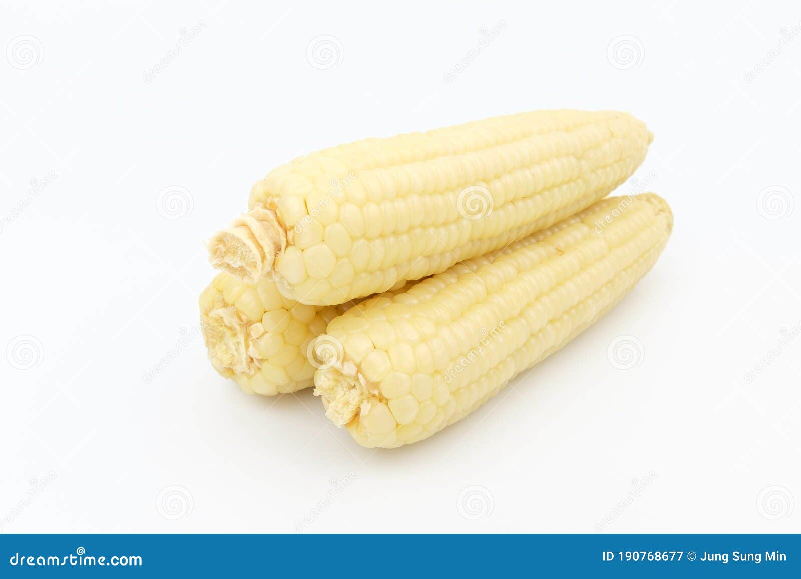 Boiled Corn on White Background Stock Image - Image of chewy, vegetable ...