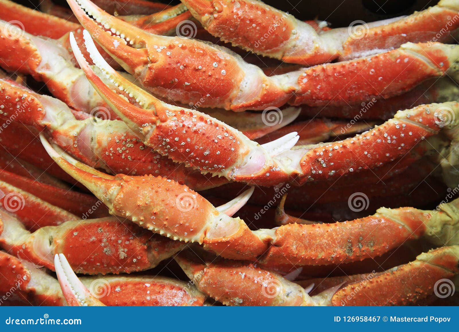 Boiled crab limbs stock image. Image of animal, smelt - 126958467