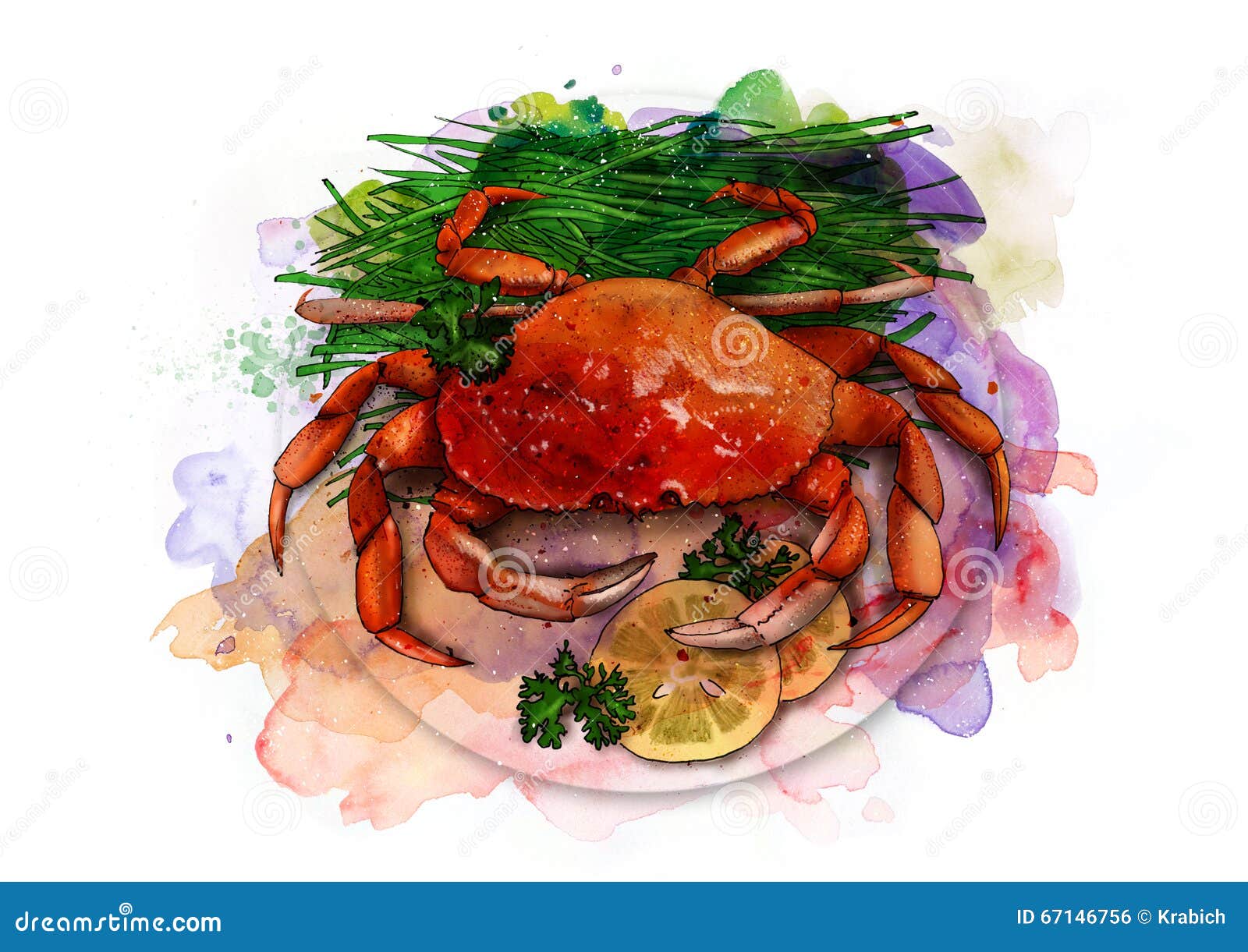 Boiled Crab on a Plate with Fresh Herbs and Lemon Slices, Sketch Stock ...