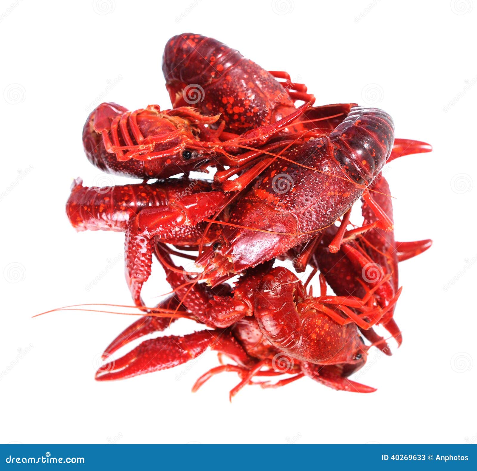 Boiled craw fish stock image. Image of crustacean, object - 40269633