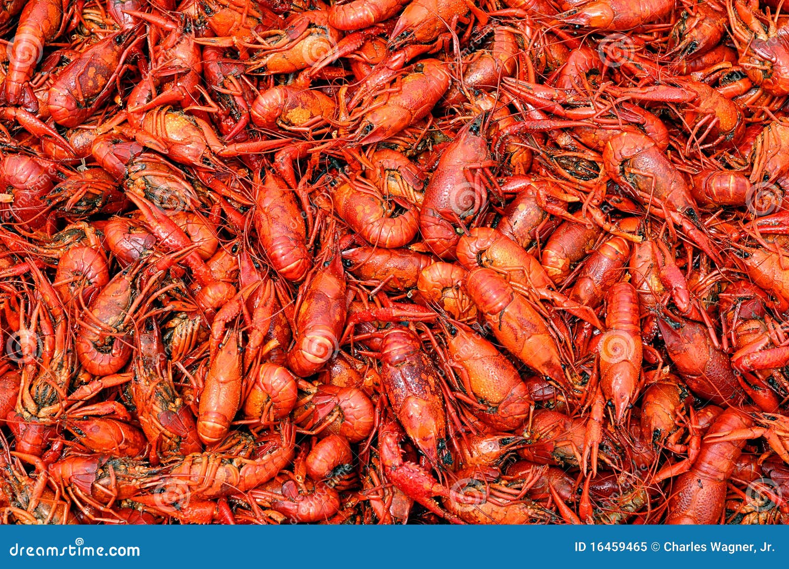 Boiled Crawfish stock image. Image of delicious, food - 16459465