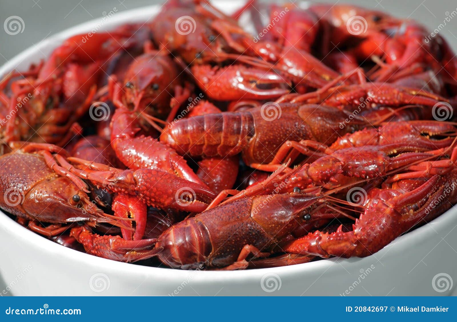 Boiled crawfish stock image. Image of cooked, seafood - 20842697