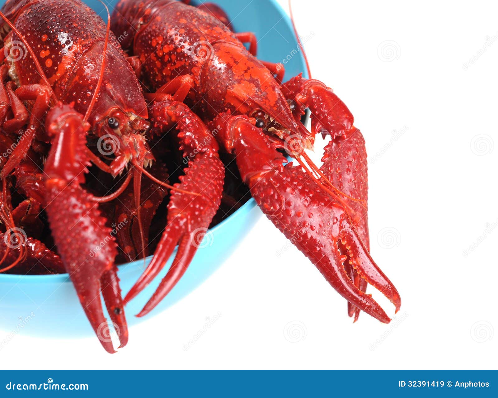 Boiled crawfish stock image. Image of lunch, fresh, lobster - 32391419