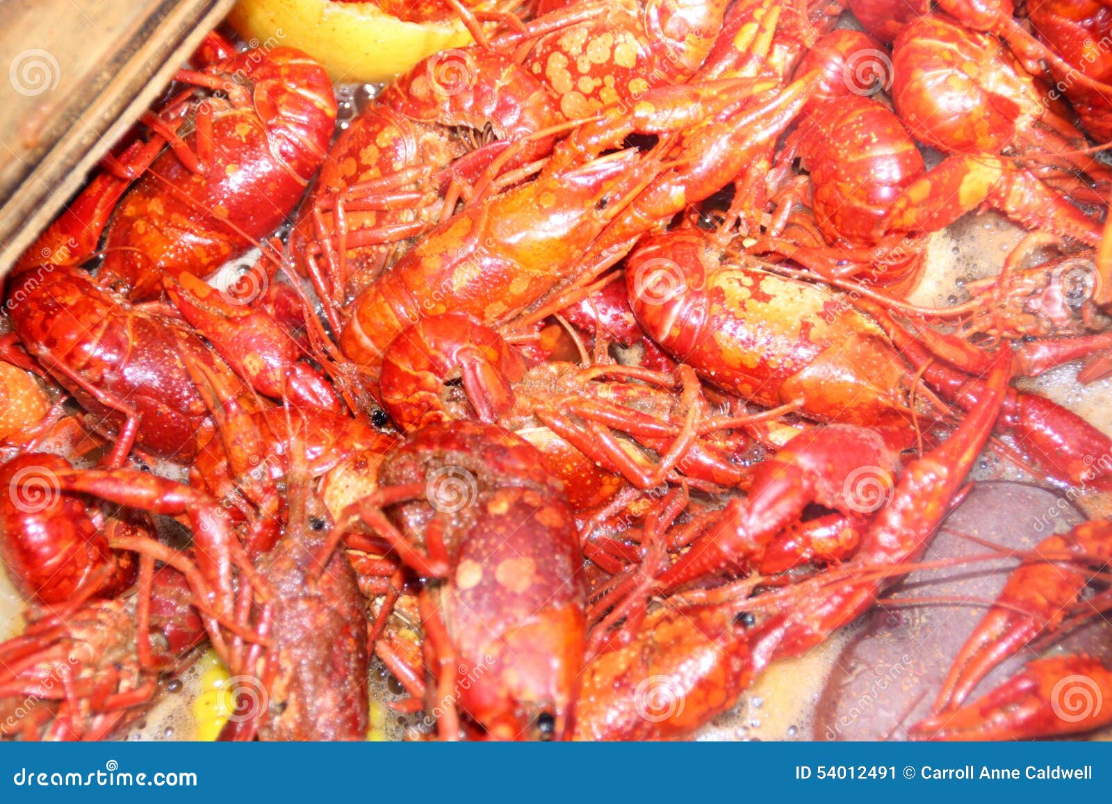 Boiled crawfish stock image. Image of boiled, crustacean - 54012491