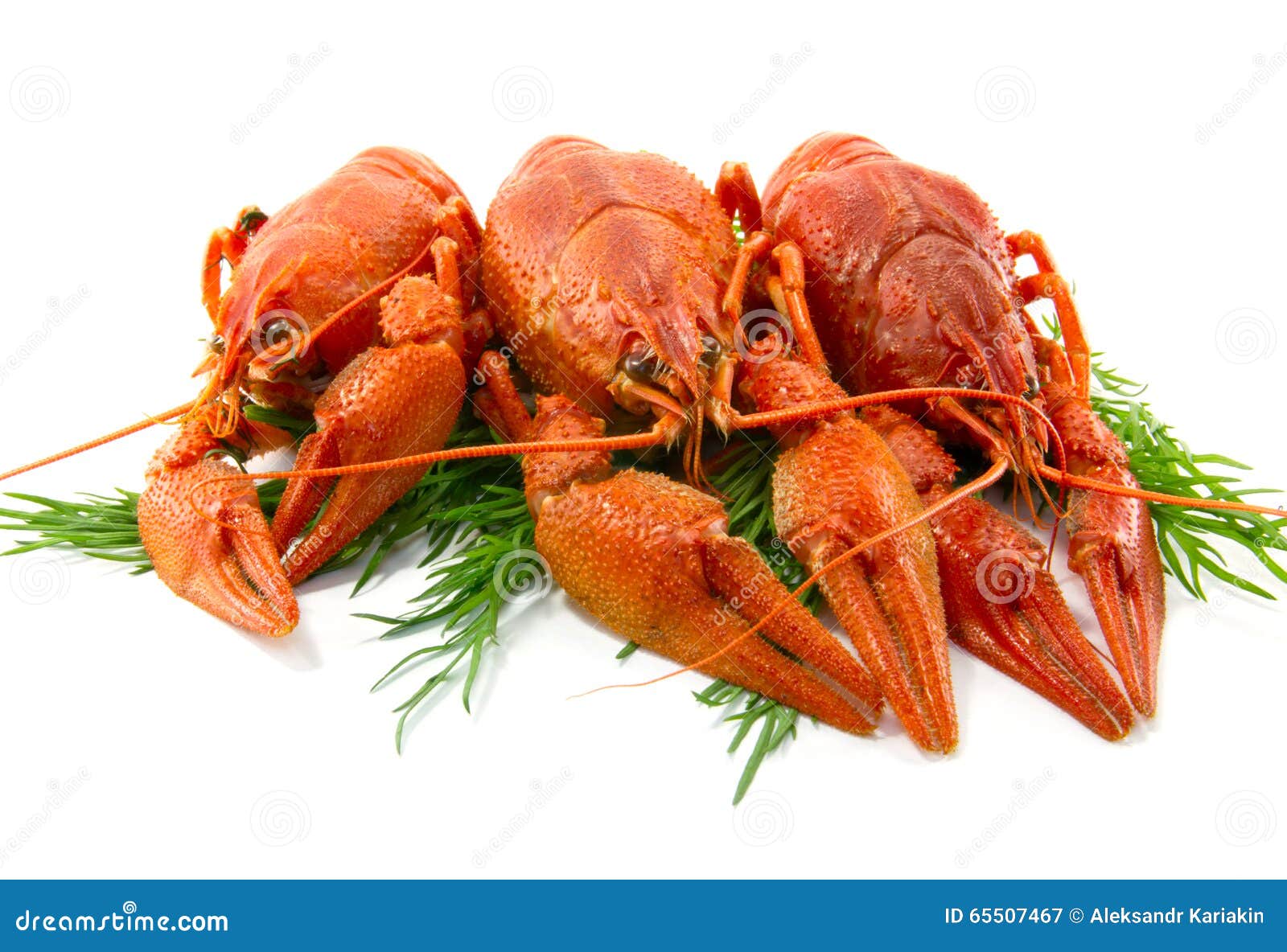 Boiled crawfish stock image. Image of chela, gourmet - 65507467