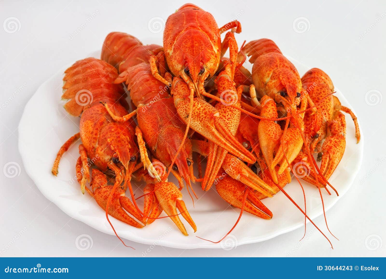 Boiled crawfish stock image. Image of nutrition, antenna - 30644243