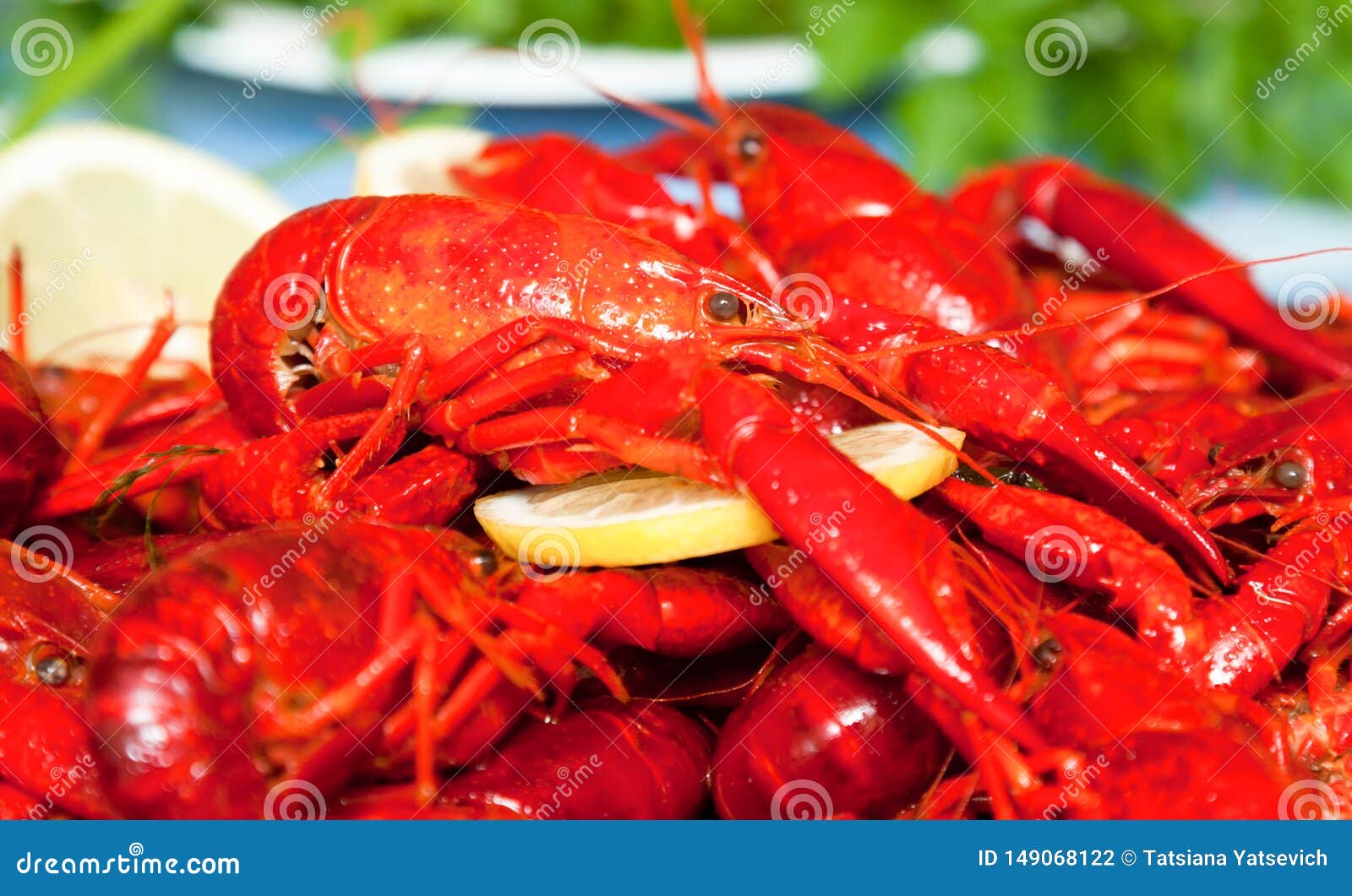 Boiled Crawfish on Plate Close Up Stock Photo - Image of crayfish ...