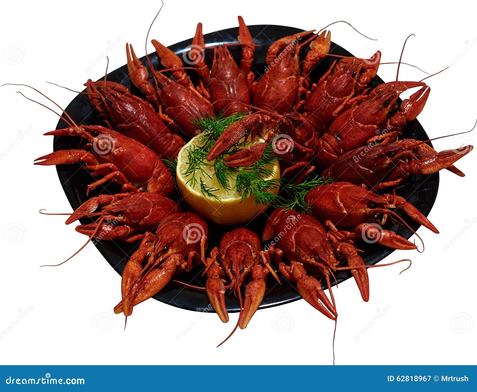 Boiled crawfish on a plate stock image. Image of eating - 62818967