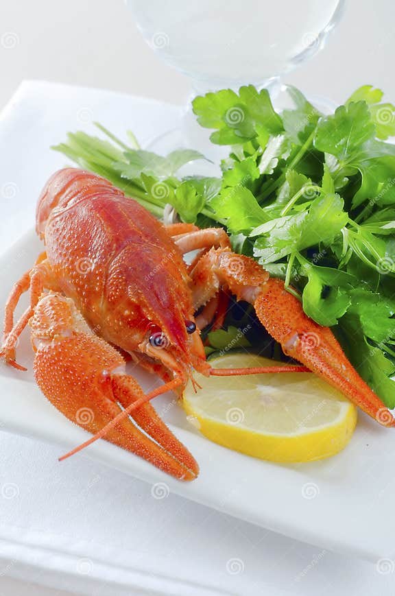 Boiled crayfish stock photo. Image of pincers, lobster - 23455464