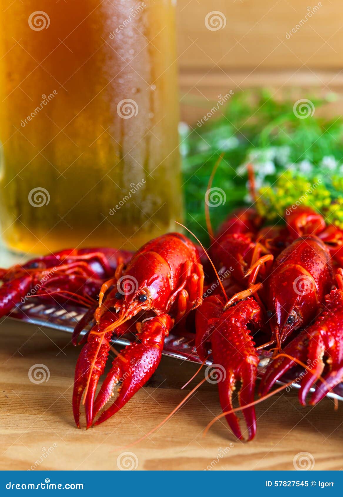 Boiled crayfish stock image. Image of healthy, crayfish - 57827545