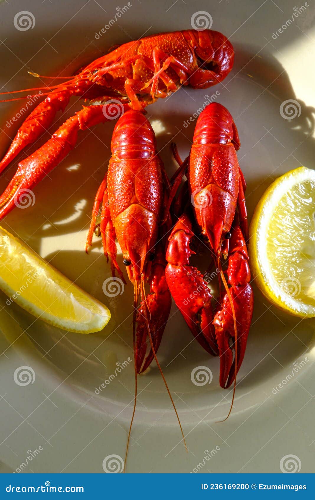 Boiled Crayfish Dinner stock photo. Image of healthyeating - 236169200