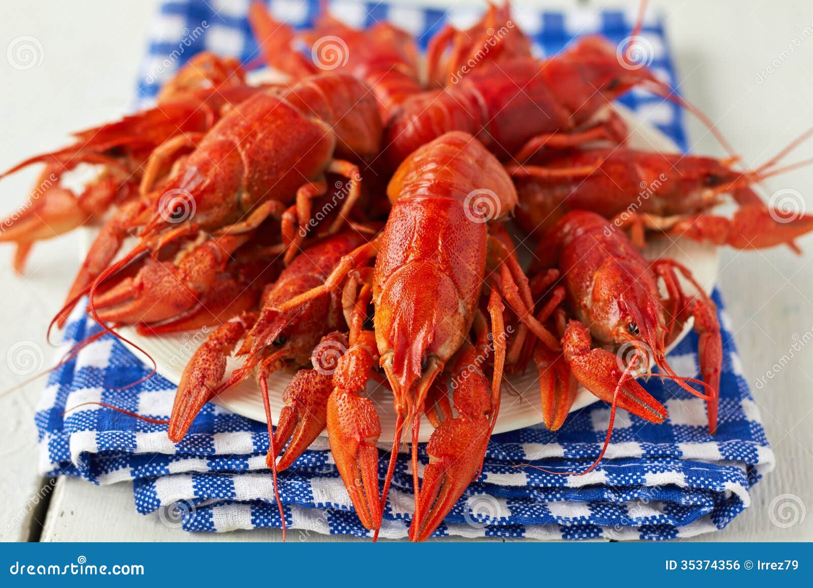 Boiled crayfish stock photo. Image of lobster, claw, snack - 35374356