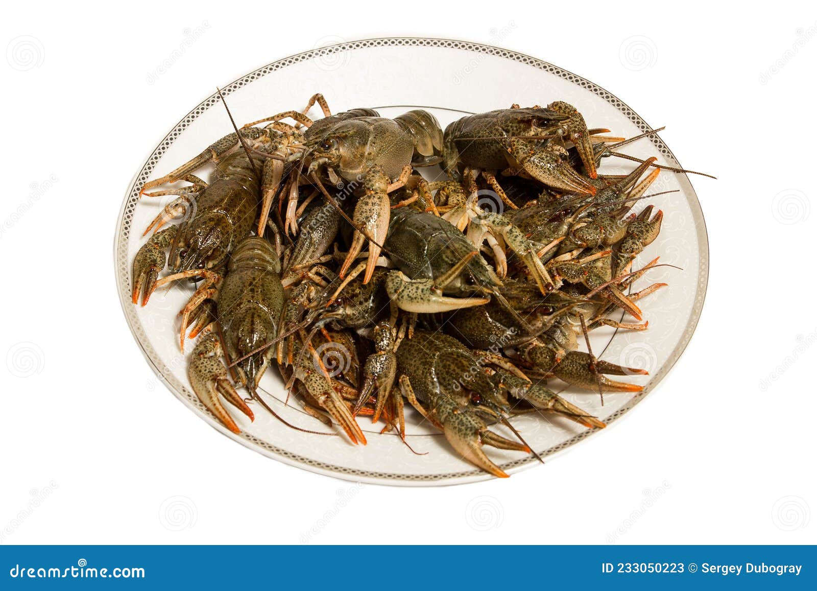 Boiled Crayfish on the Plate. Isolated on Whit Stock Image - Image of ...