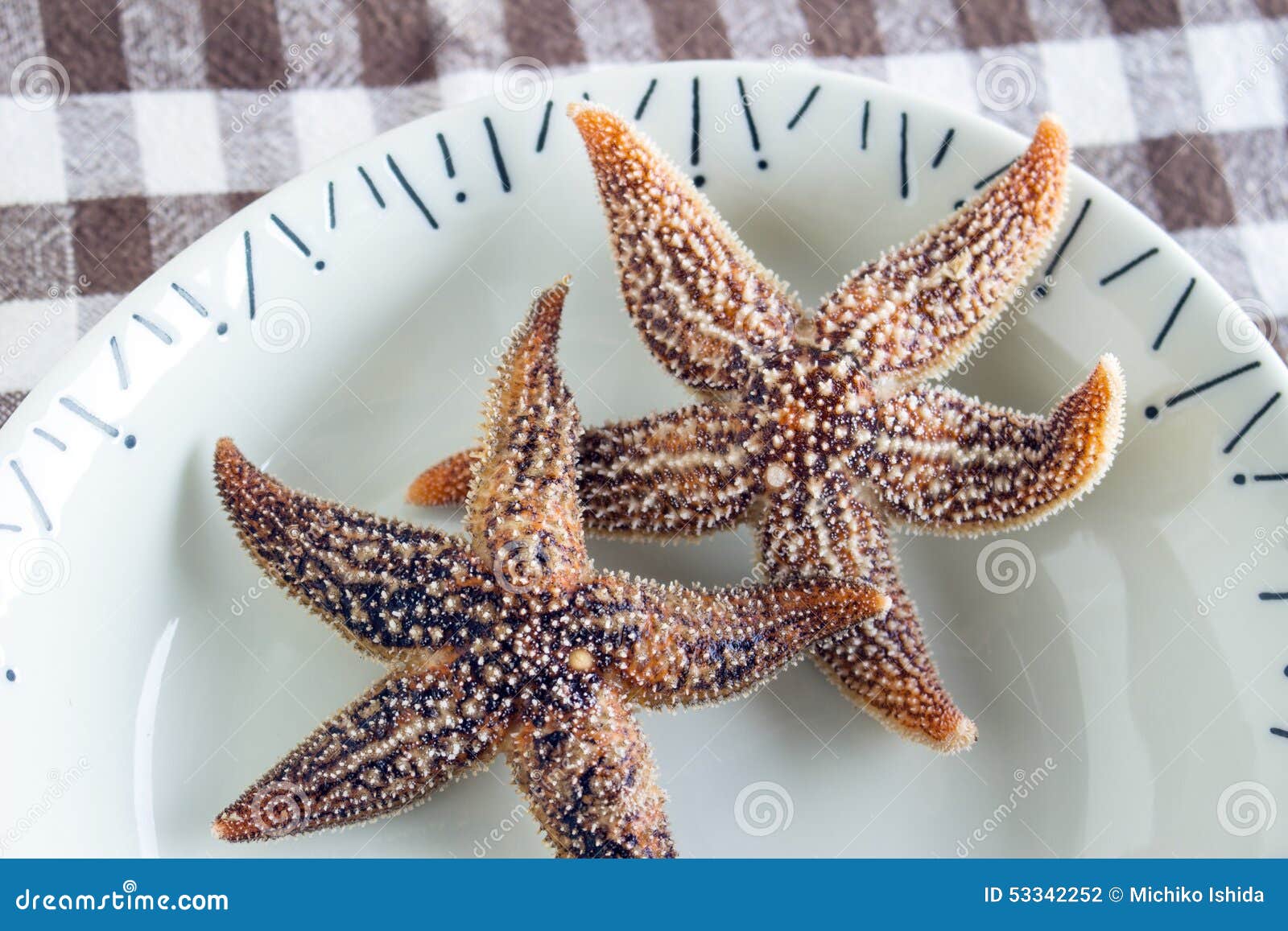 Boiled edible starfish stock photo. Image of boil, local - 53342252