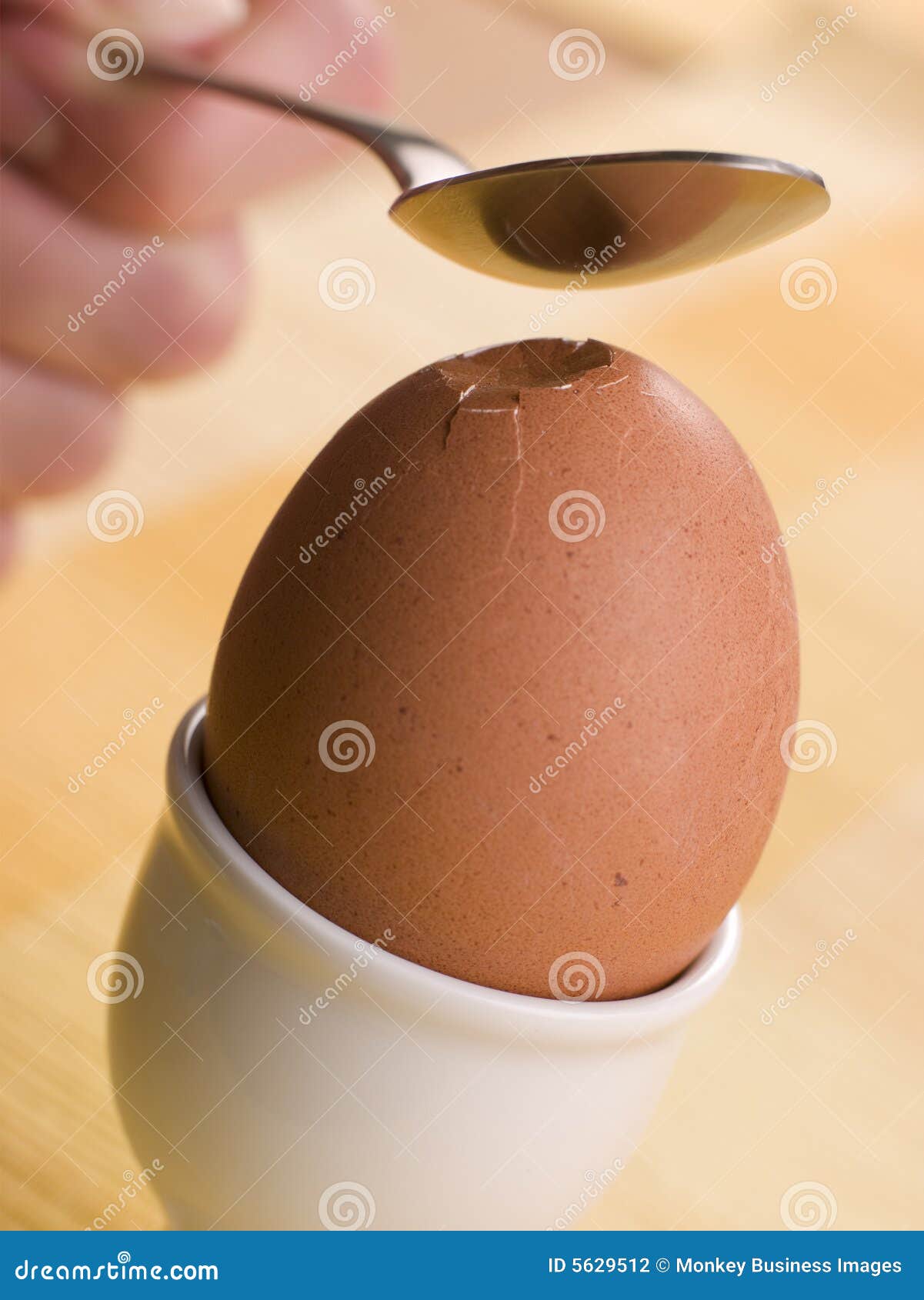Boiled Egg Being Cracked Open with a Spoon Stock Photo - Image of eggs ...