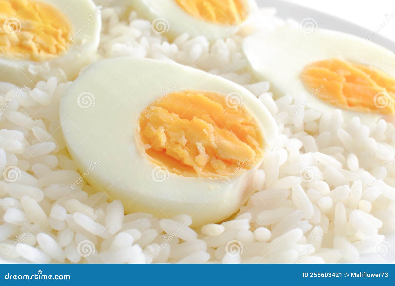 Boiled Egg with Rice on a White Plate. Stock Image - Image of parboiled ...