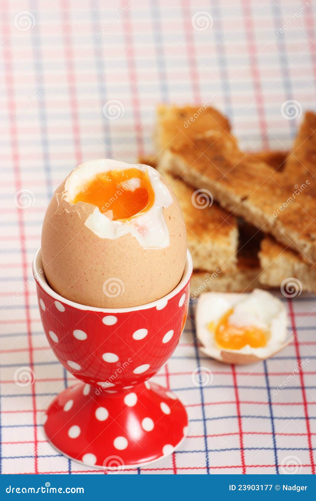 Boiled Egg and Toasted Soldiers Stock Image - Image of dairy, snack ...