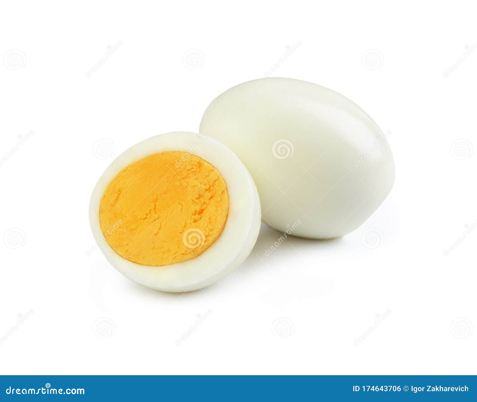 1 White Egg