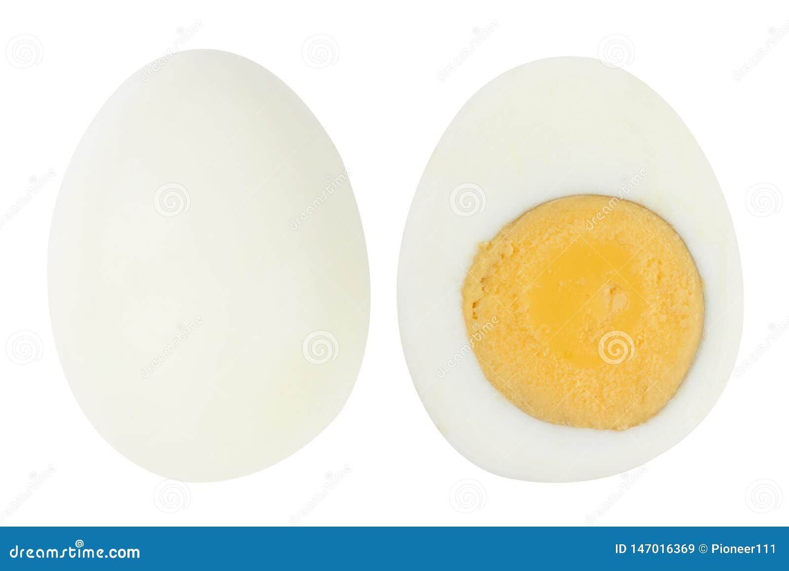 Boiled egg on white stock image. Image of protein, food - 147016369