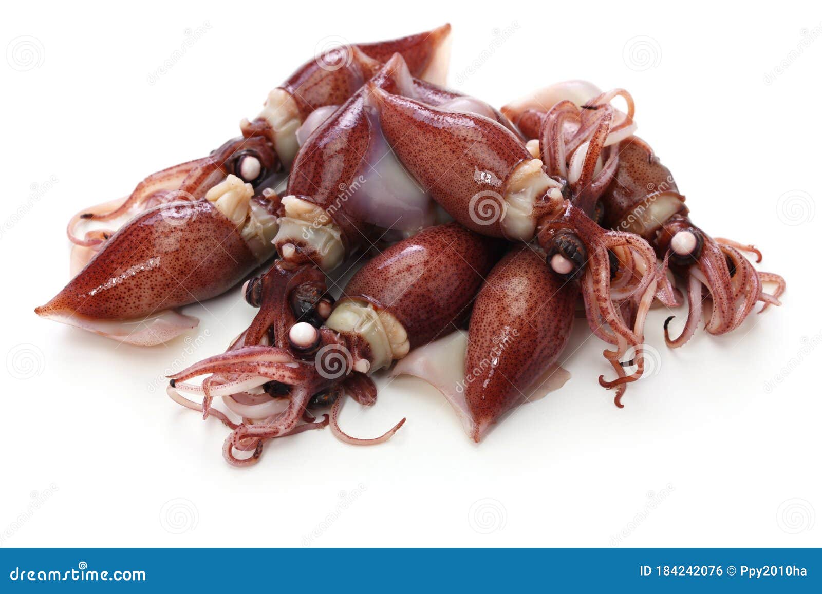 Boiled firefly squid stock photo. Image of appetizer - 184242076