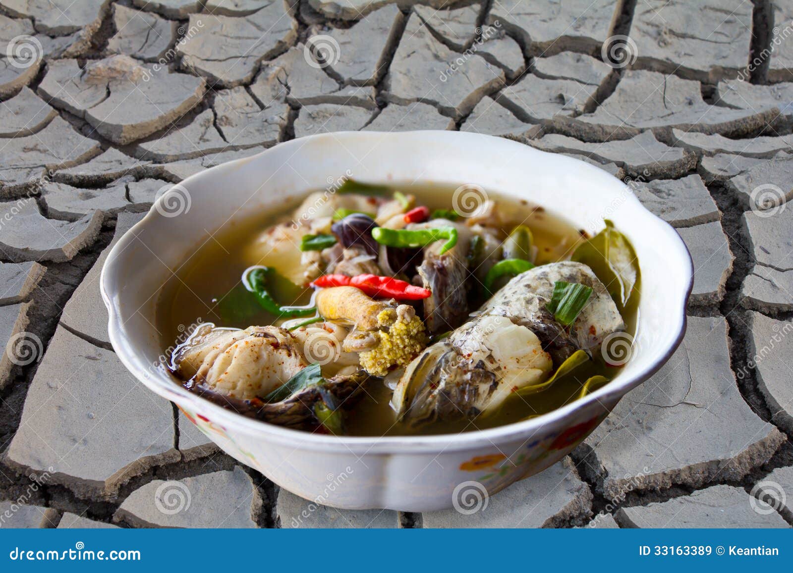 Boiled Fish on Cracked Soil Stock Image - Image of earth, diet: 33163389