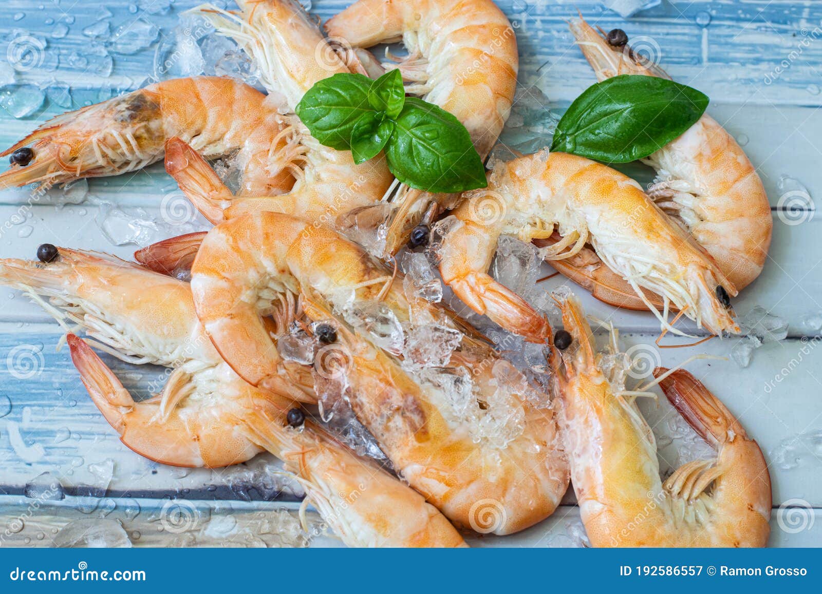 Boiled fresh prawns stock image. Image of shellfish - 192586557