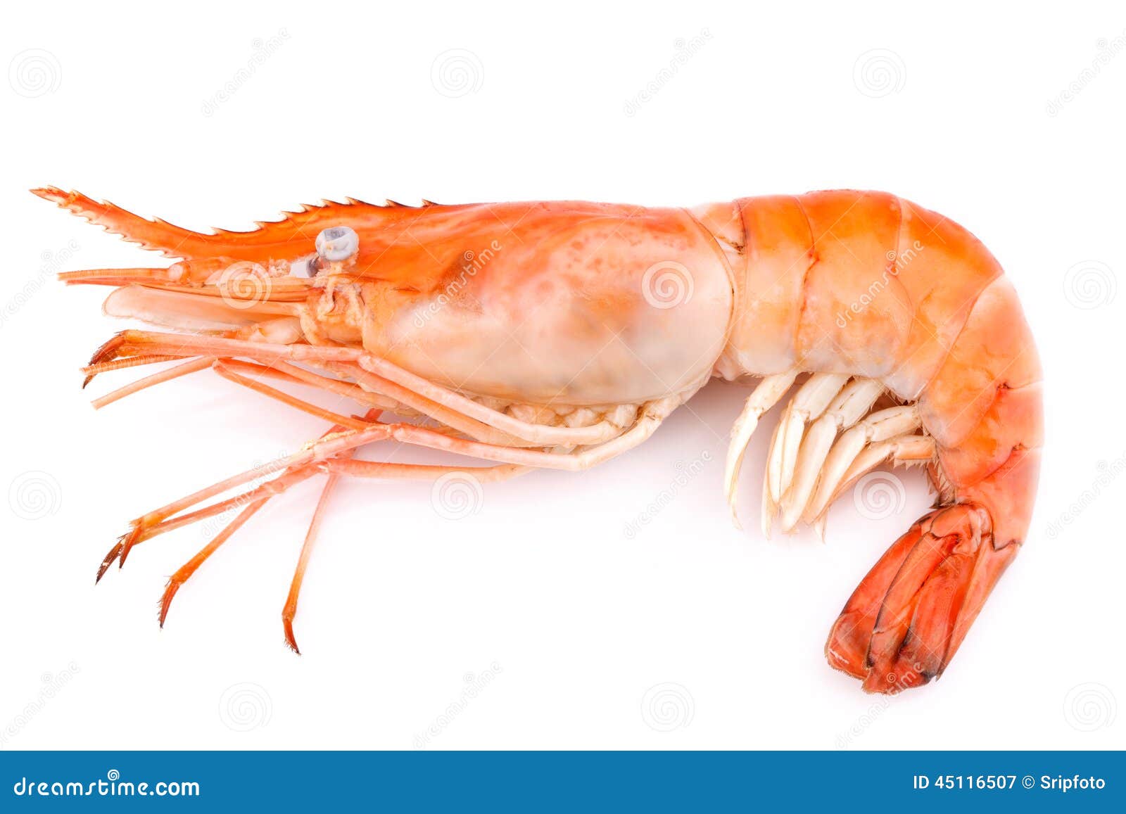 Boiled Giant Freshwater Prawn Stock Image - Image of background ...