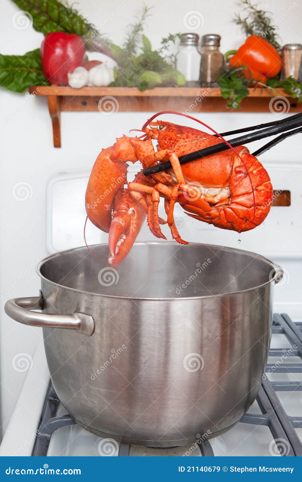 Boiled lobster stock image. Image of lobster, market - 21140679