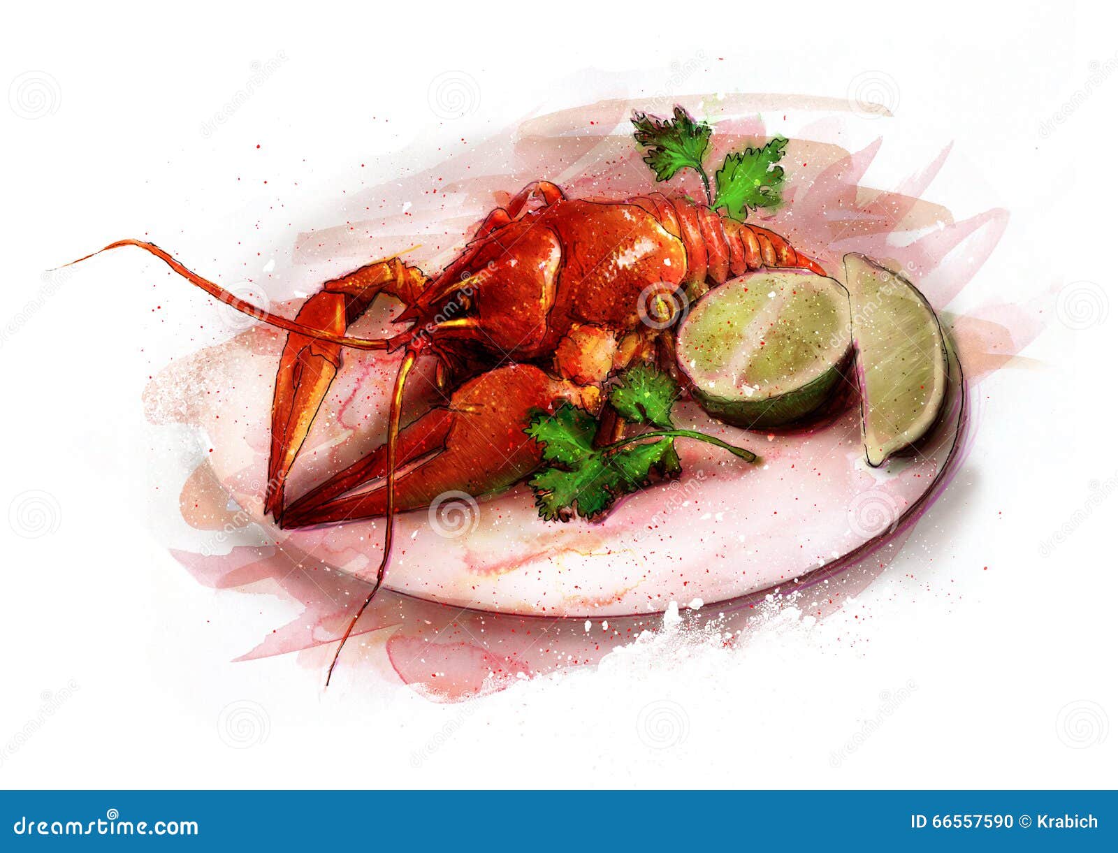 Boiled Lobster on a Plate with Lemon and Herbs Sketch Stock ...