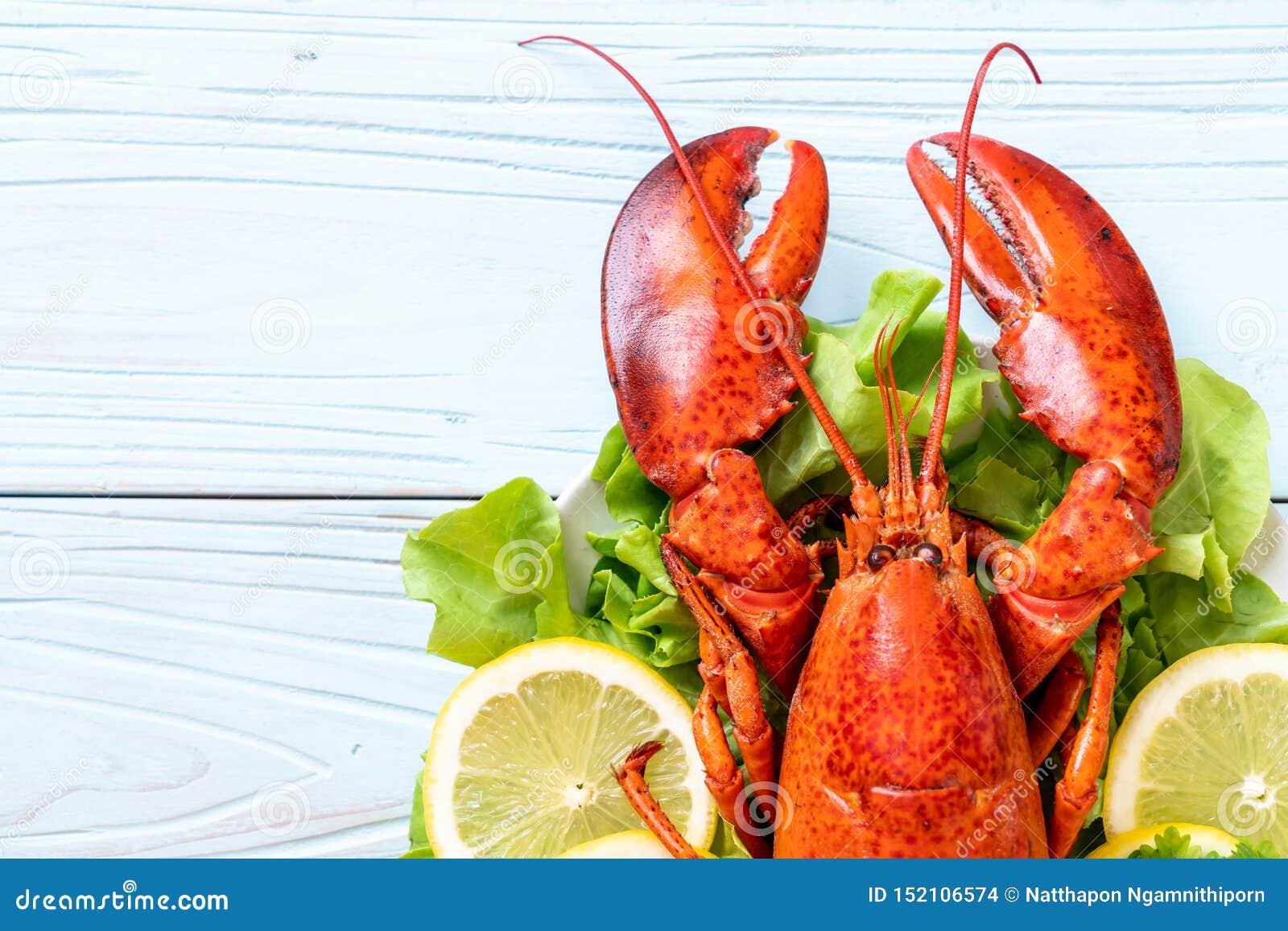 Boiled Lobster with Vegetable and Lemon Stock Photo - Image of crayfish ...