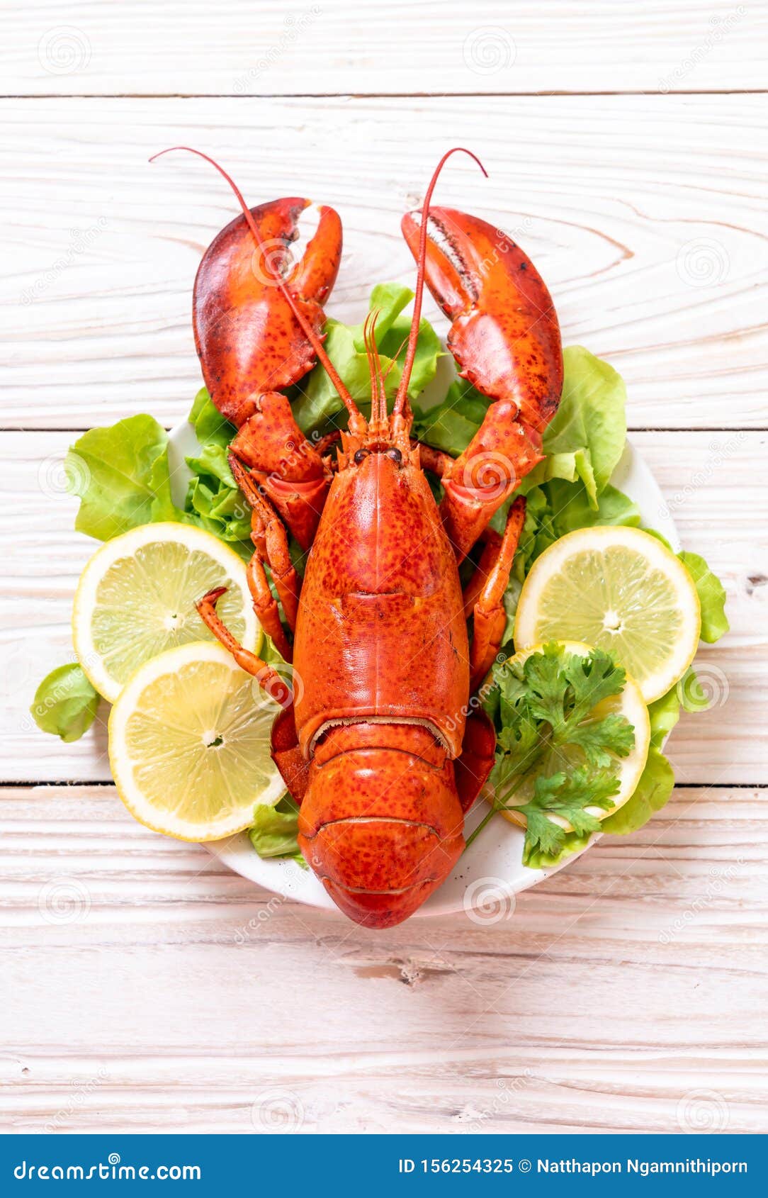 Boiled Lobster with Vegetable and Lemon Stock Image - Image of salad ...