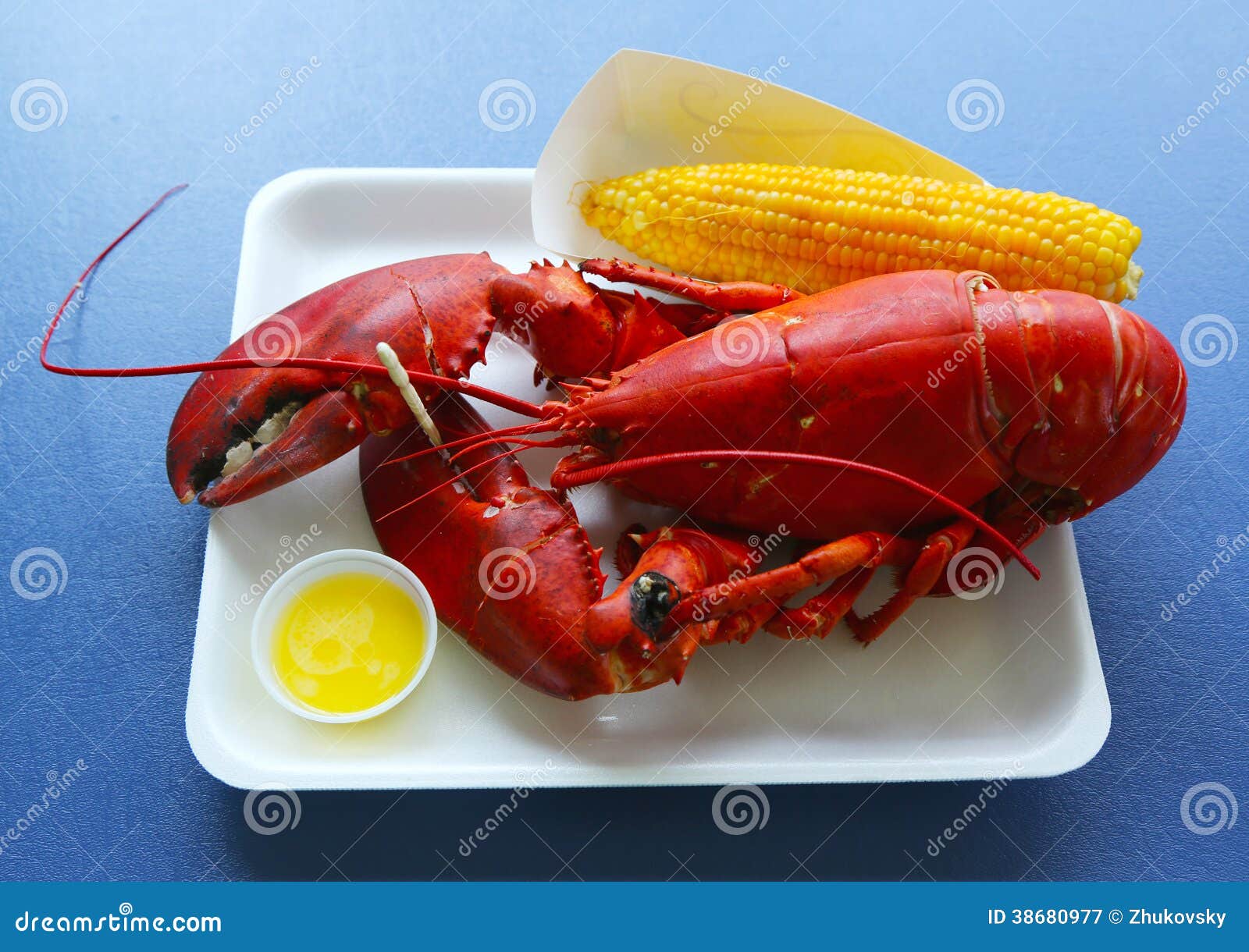 Boiled Maine Lobster with Corn Stock Image - Image of marines, eating ...