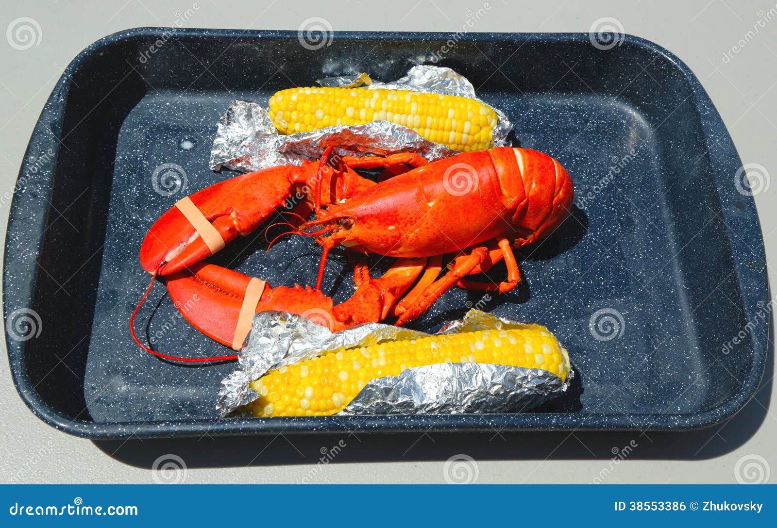 Boiled Maine Lobster with Corn Stock Photo - Image of healthy, gourmet ...