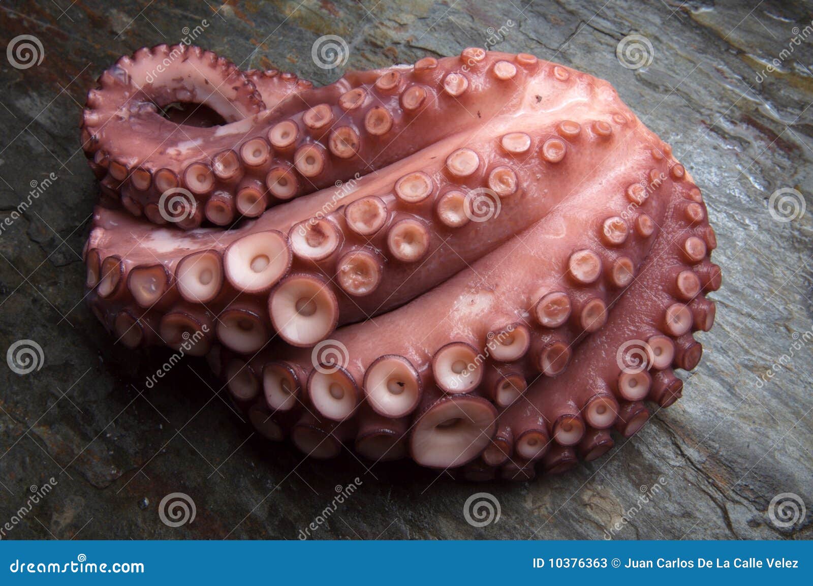 Boiled Octopus Tentacles On Wooden Tray, Octopus Food Cooked Seafood ...
