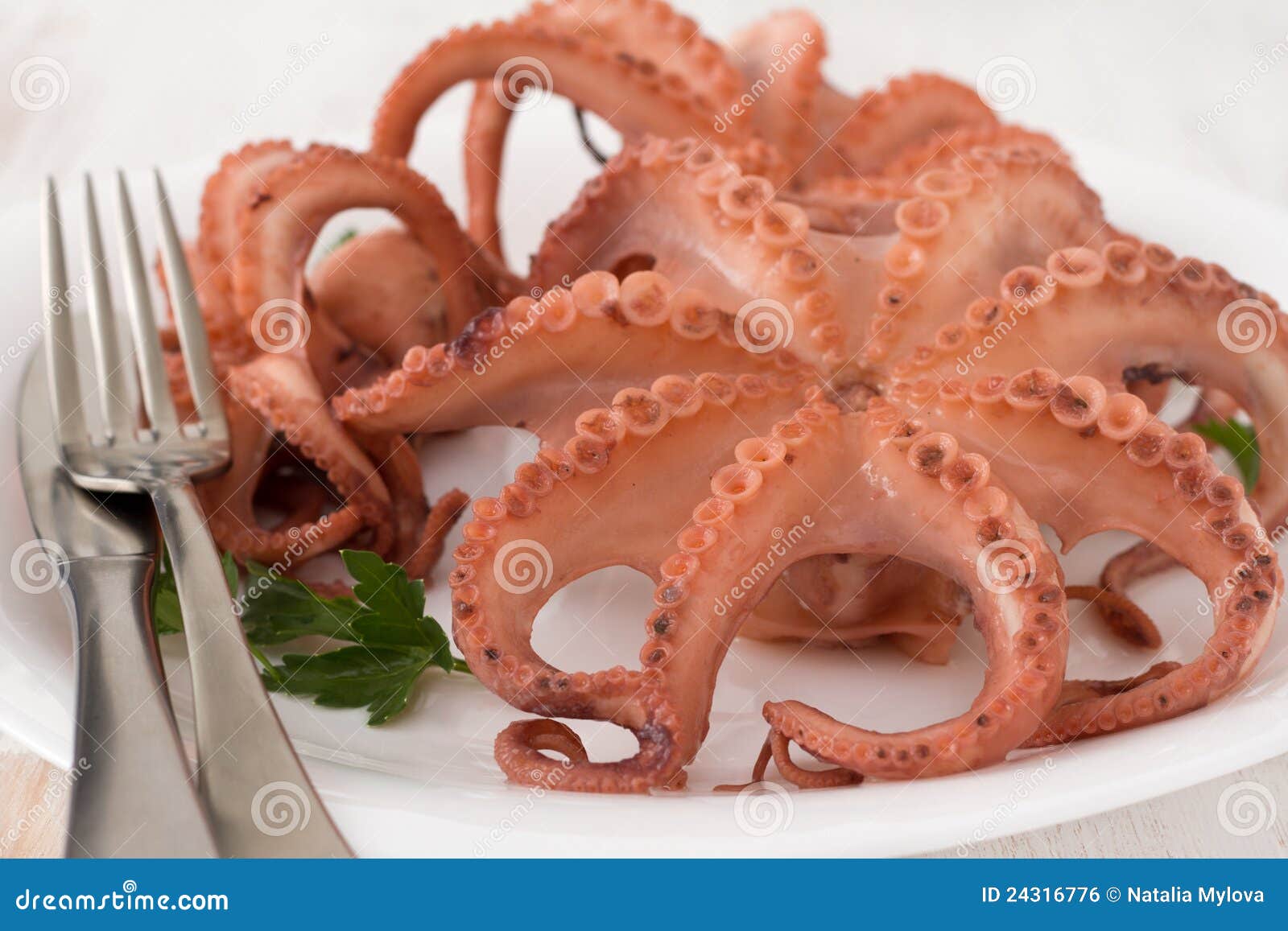 Boiled octopus stock photo. Image of seafood, healthy - 24316776