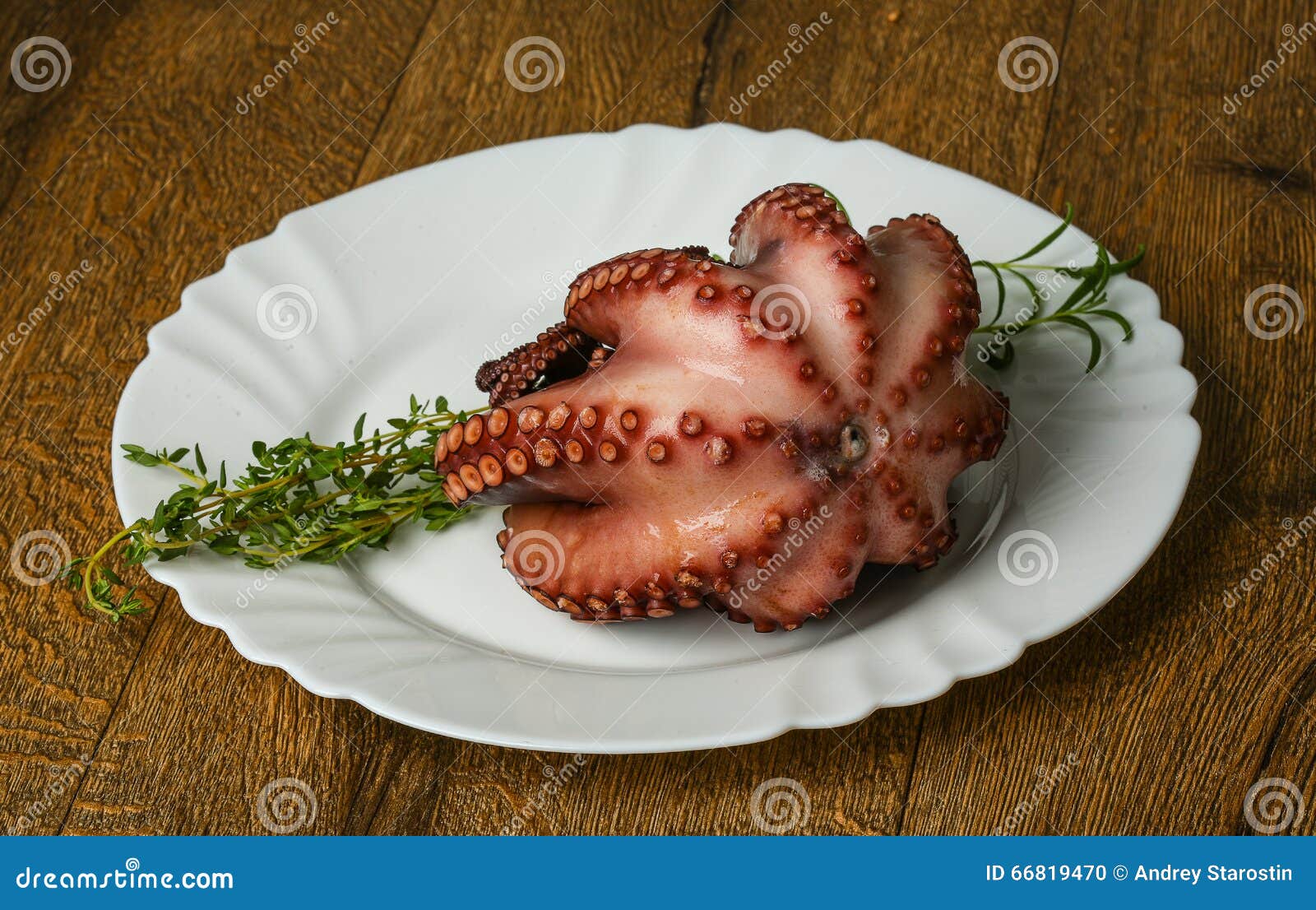 Boiled octopus stock photo. Image of closeup, pink, ingredient - 66819470