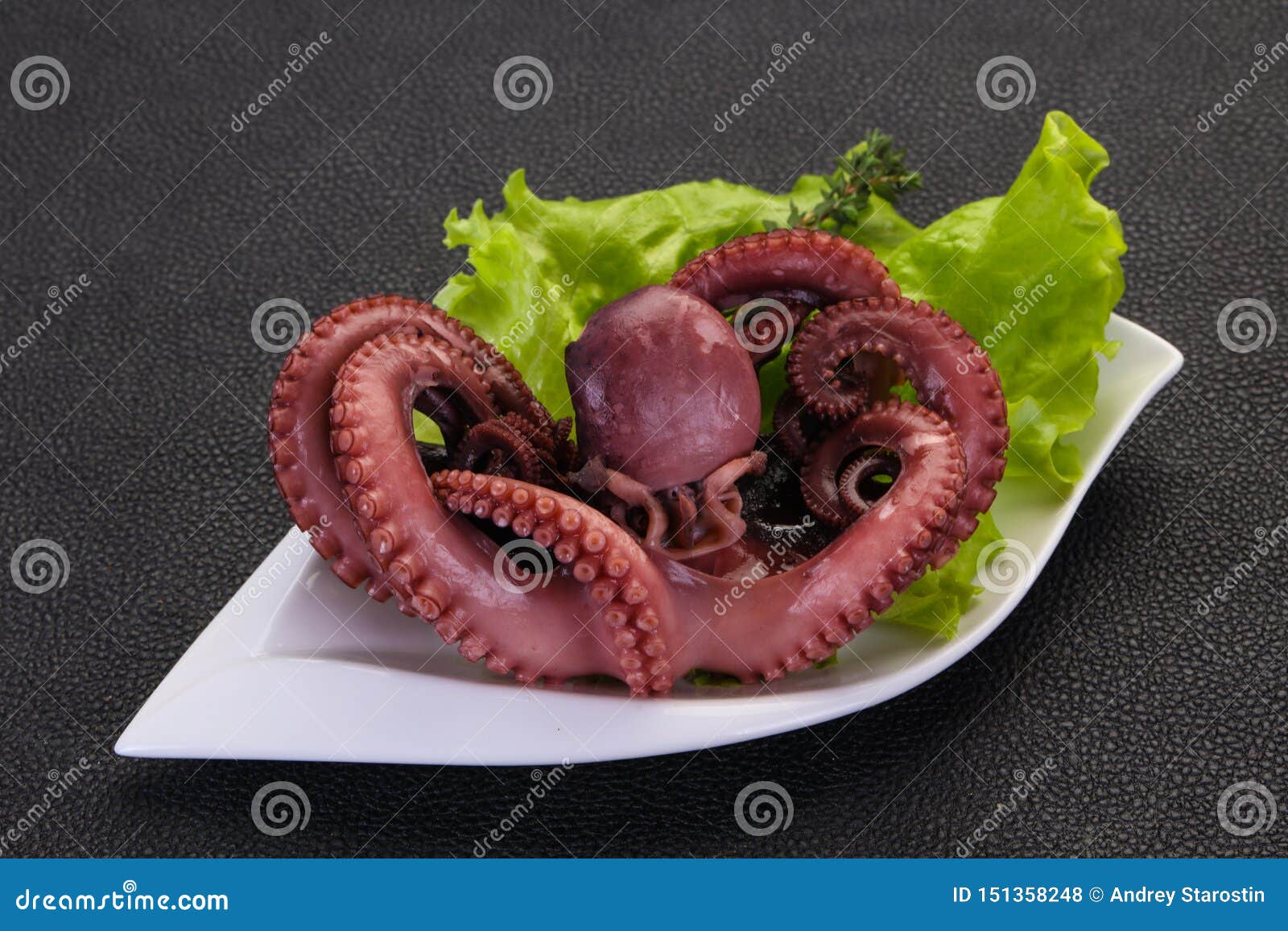 Boiled octopus with herbs stock photo. Image of plate - 151358248