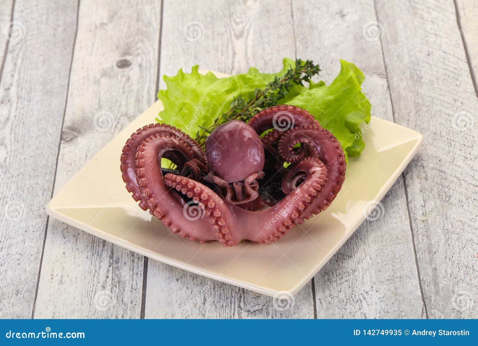 Boiled octopus with herbs stock image. Image of rustic - 142749935