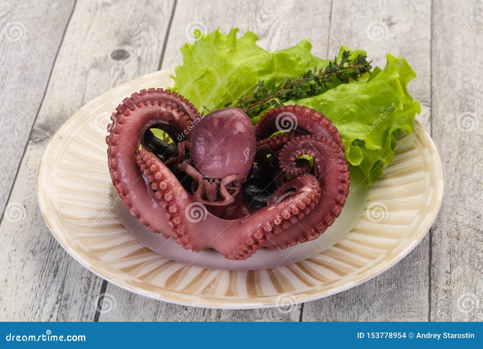 Boiled octopus with herbs stock photo. Image of appetizer - 153778954