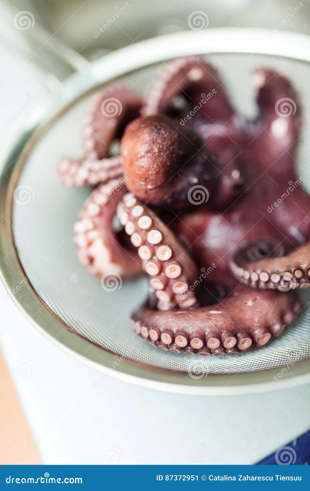 Boiled octopus stock image. Image of daylight, gourmet - 87372951