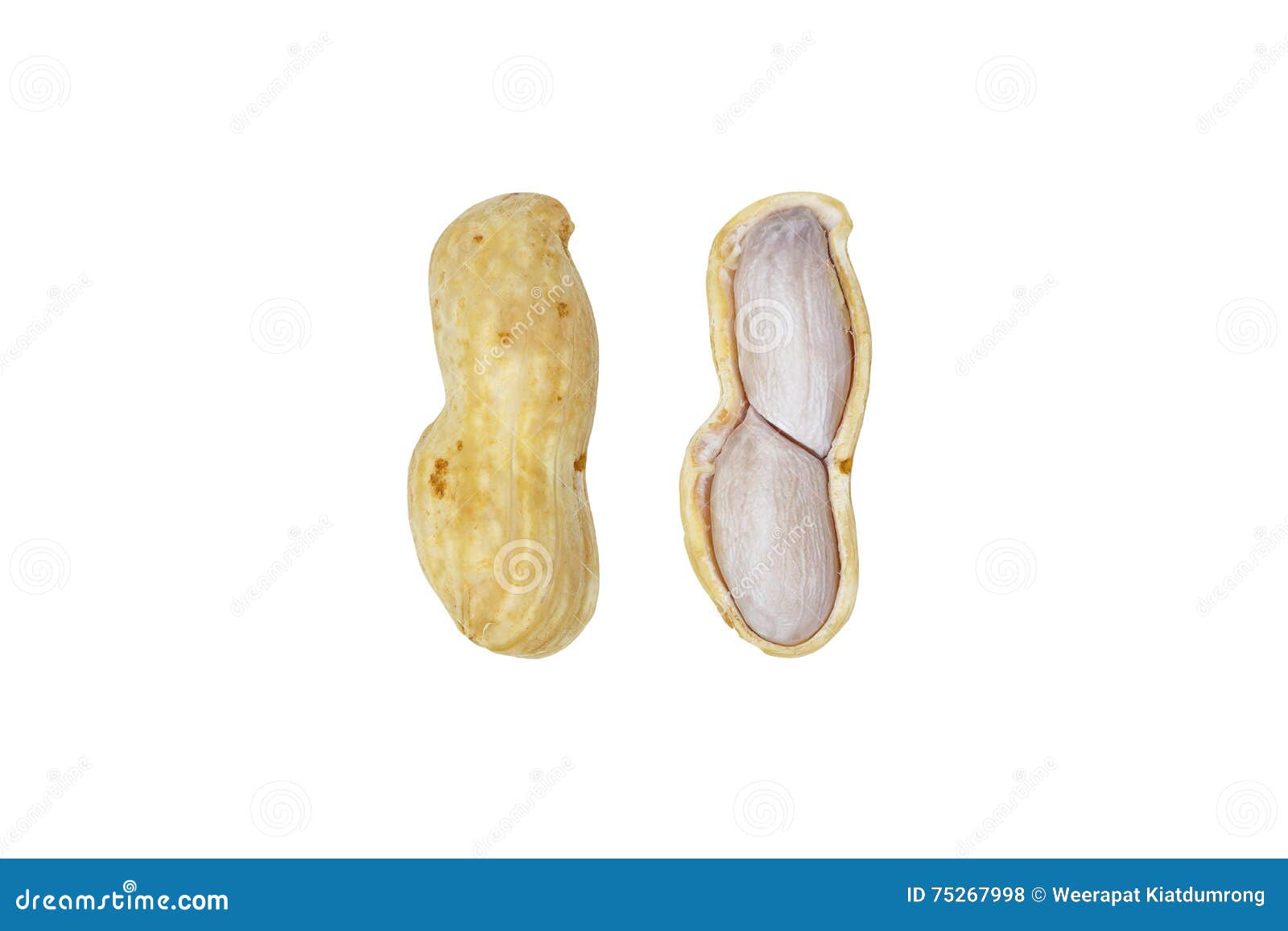 Boiled peanut stock photo. Image of food, protein, snack - 75267998